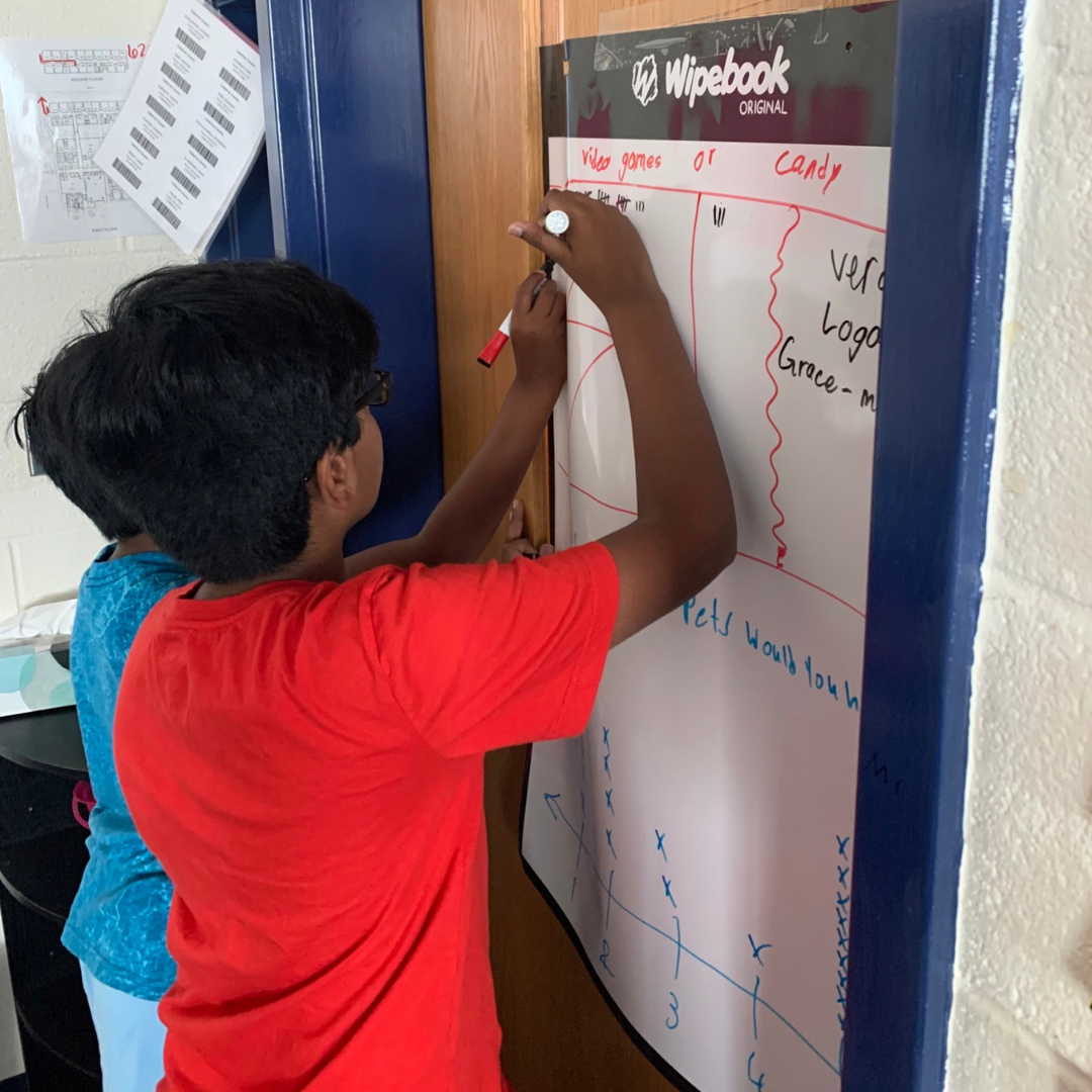 Incorporating VNPS in Math and Sciences – Wipebook